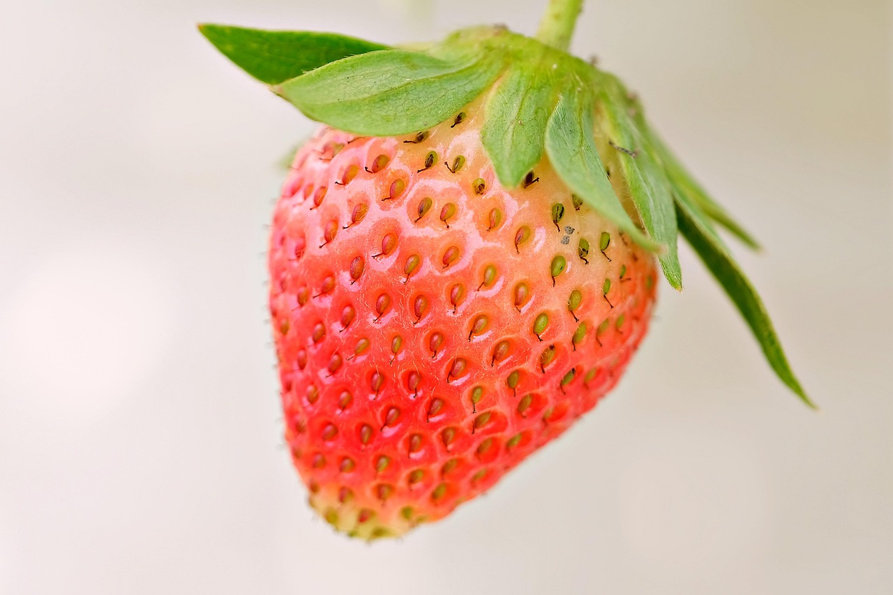 Strawberry Fruit Fresh Edible - Free photo on Pixabay - Pixabay