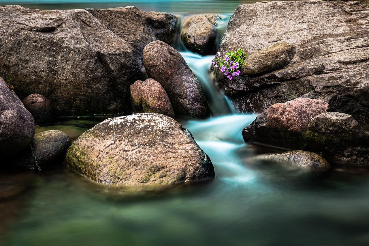 100+ Free Waterfalls With Flowers & Waterfall Photos - Pixabay