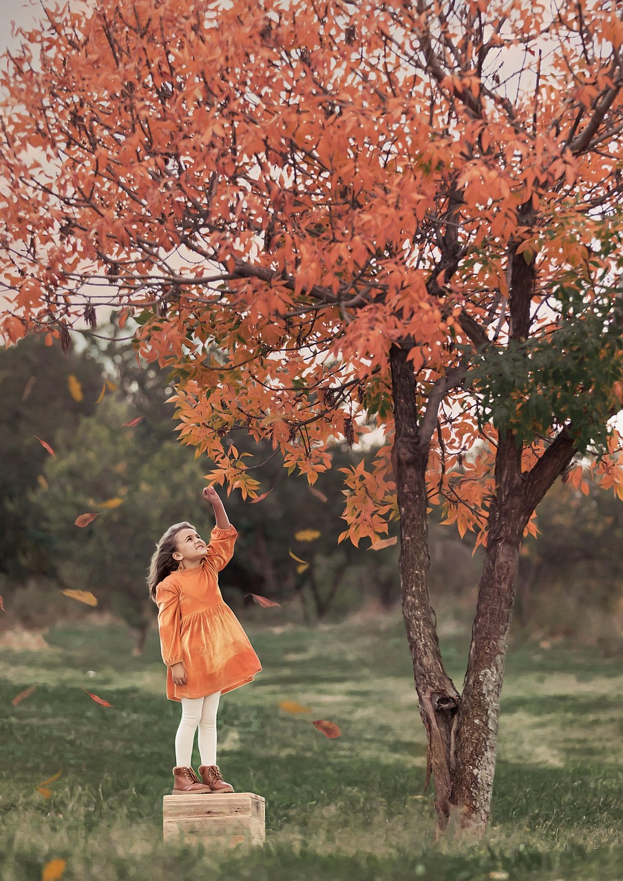 Girl Tree Orange Dress - Free photo on Pixabay - Pixabay
