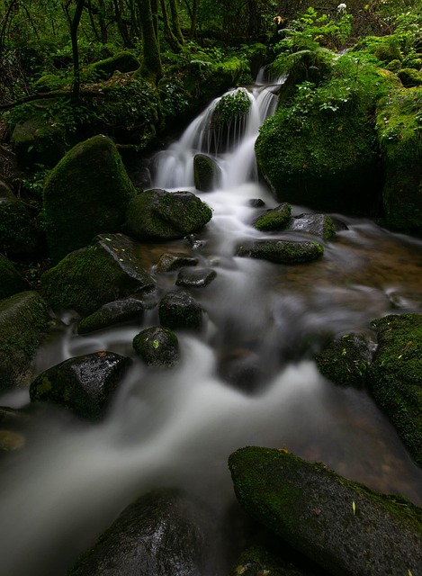 Valley Alam Lembah Lumut Sama - Foto gratis di Pixabay - Pixabay