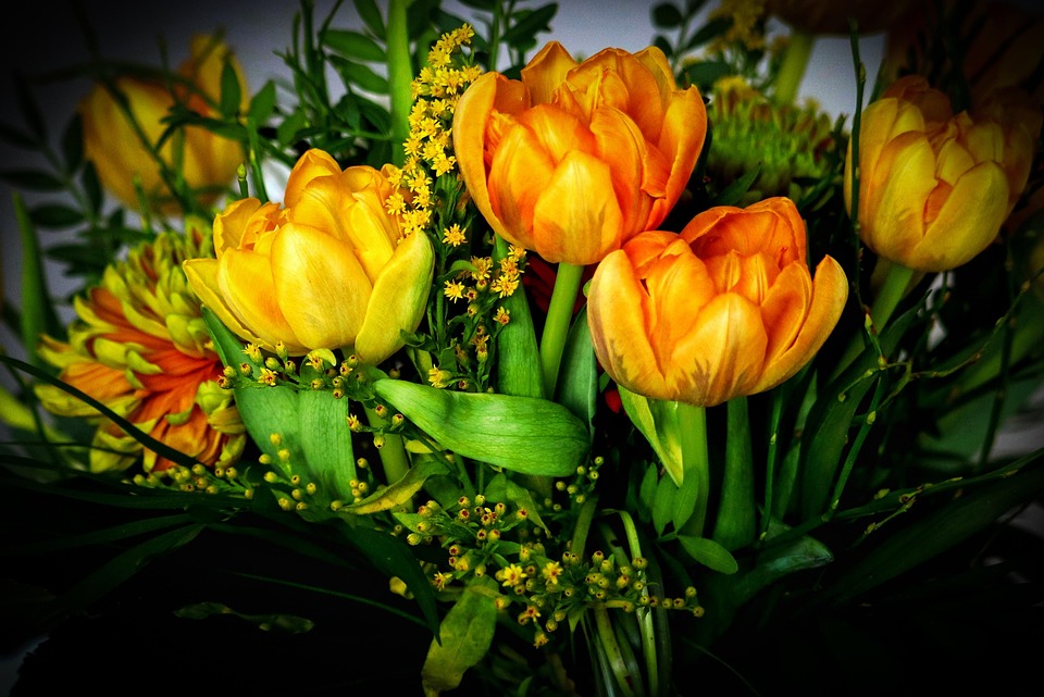 Tulips Plants Bouquet Of - Free photo on Pixabay