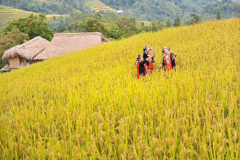 Terraces Rice Fields People - Free photo on Pixabay