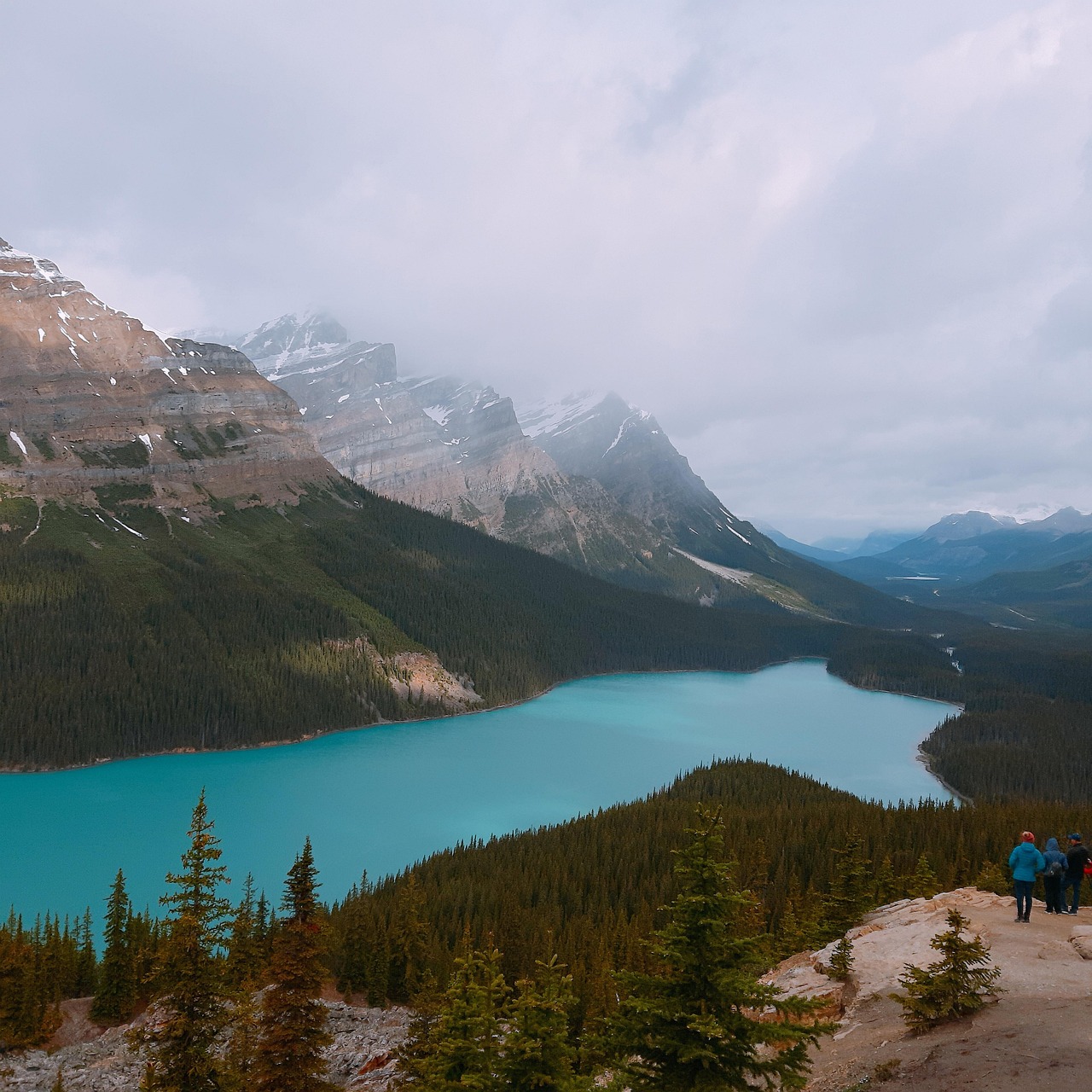 Peyto Lake Turquoise - Pixabay의 무료 사진 - Pixabay