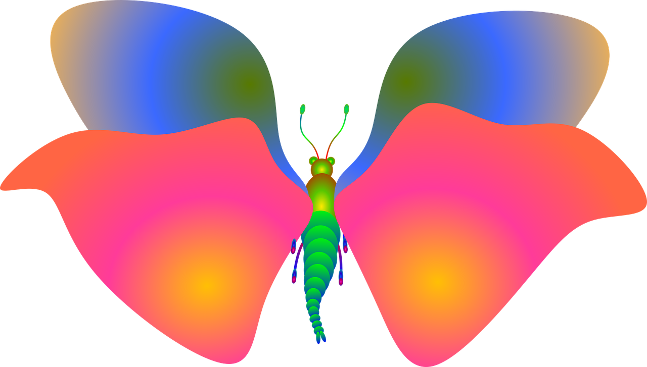 Download Butterfly Wings Insect Royalty Free Vector Graphic Pixabay