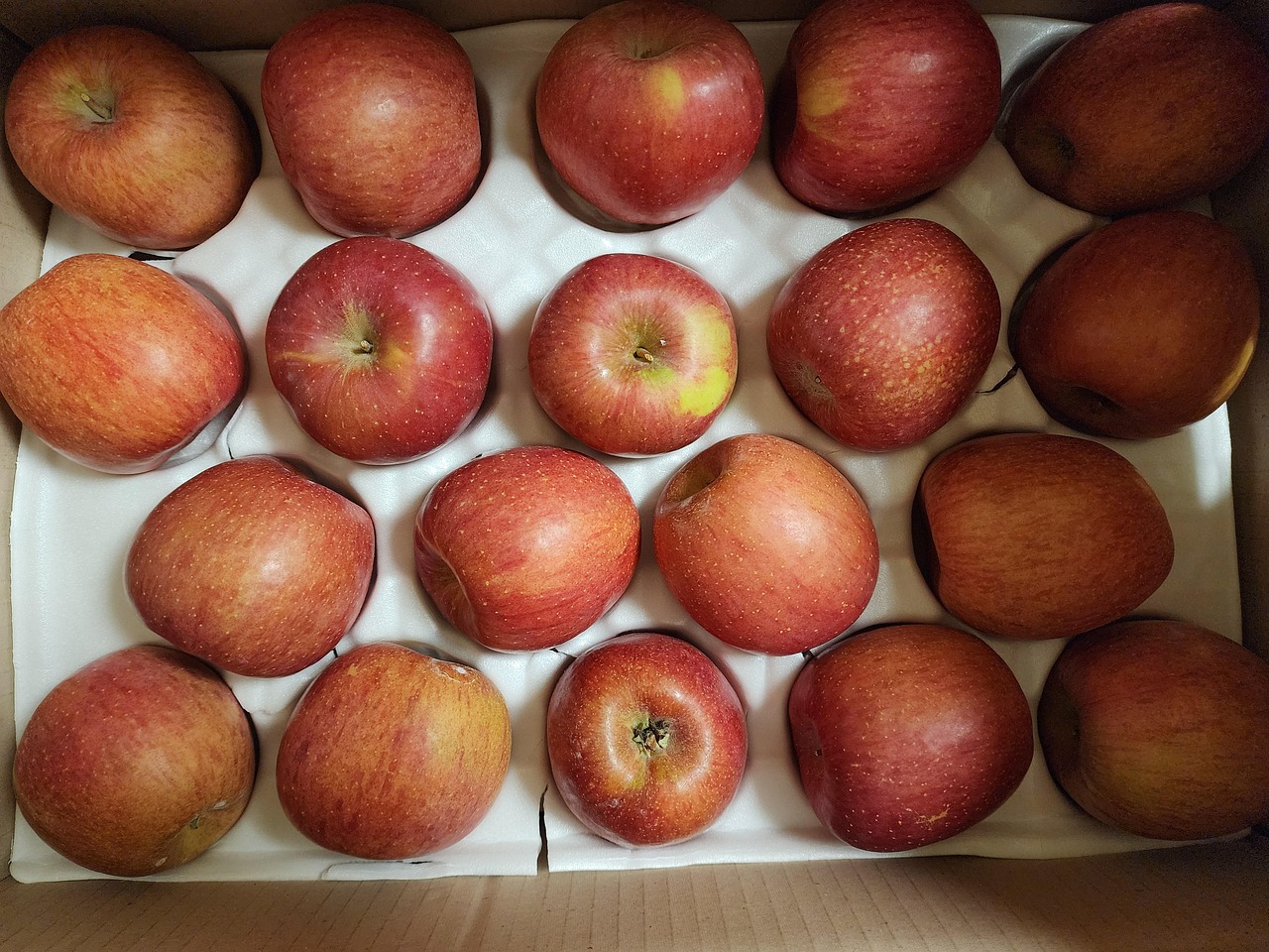 Meminta Maaf Buah Hadiah Sedang - Foto gratis di Pixabay - Pixabay