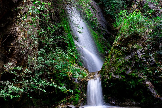 Cascada Río Selva - Foto gratis en Pixabay - Pixabay