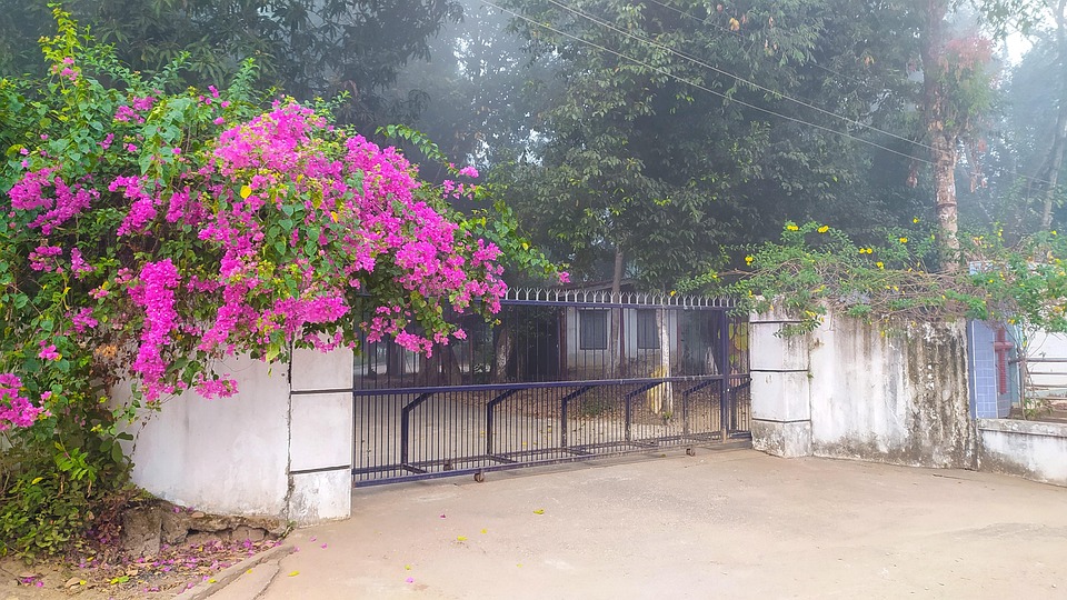 Nature Flowers Gate - Free photo on Pixabay