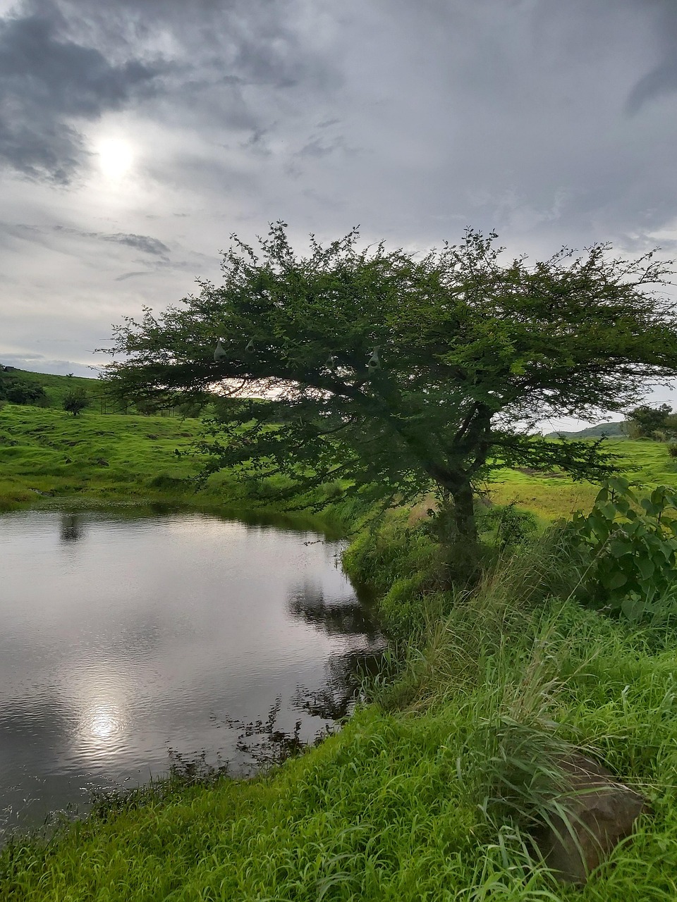 Nature Monsoon India - Free photo on Pixabay - Pixabay