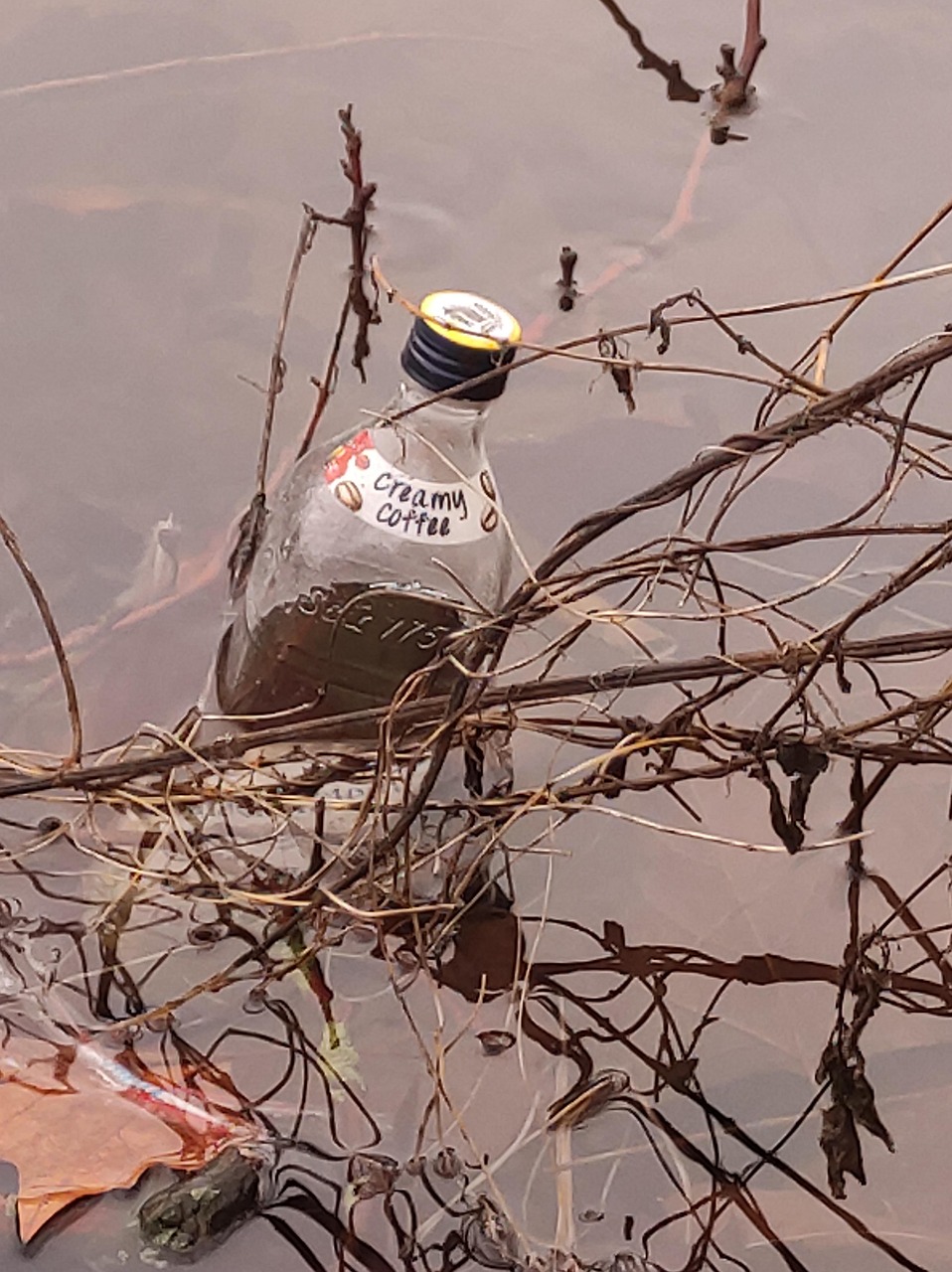 Pollution Environnementale - Photo gratuite sur Pixabay - Pixabay