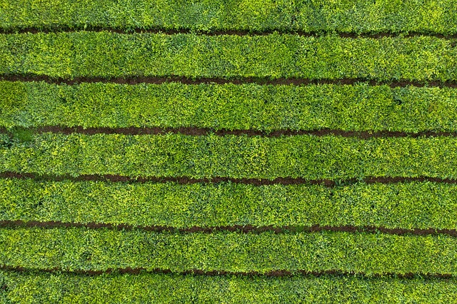 Aerial View Hedge Farm - Free photo on Pixabay