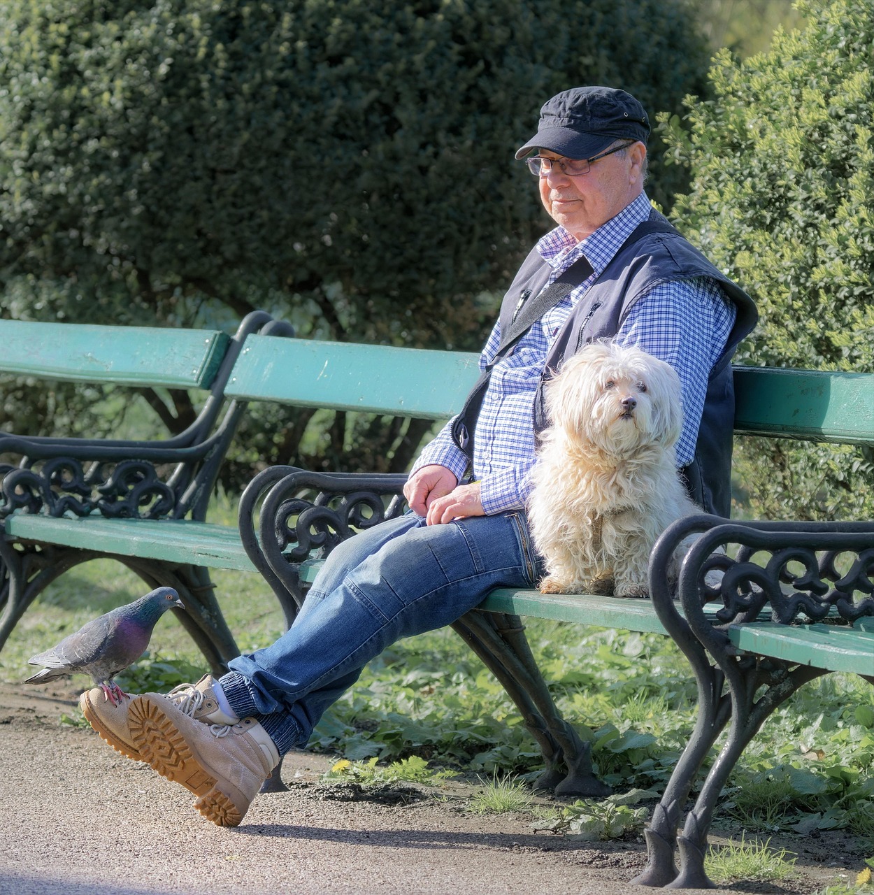 Staff Man Sitting - Free photo on Pixabay