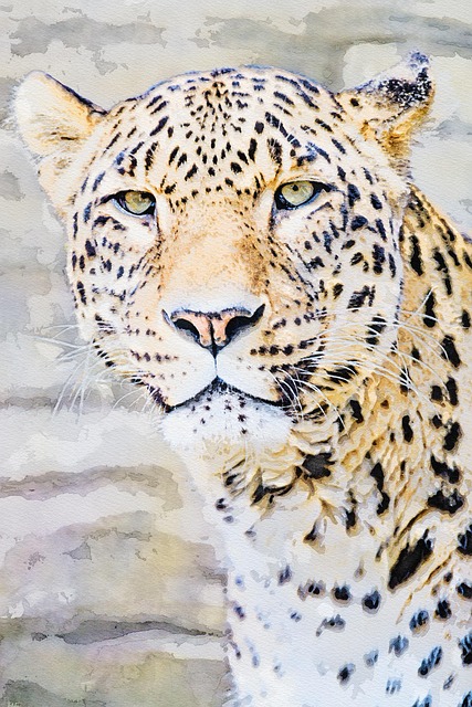 Animal Atento Calma - Imagen gratis en Pixabay - Pixabay