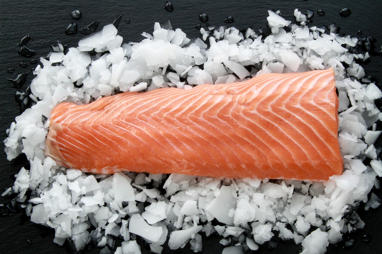 Salmon Raw Fresh - Free photo on Pixabay - Pixabay