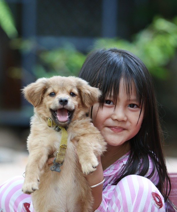Little Girl Puppy Outdoors - Free photo on Pixabay
