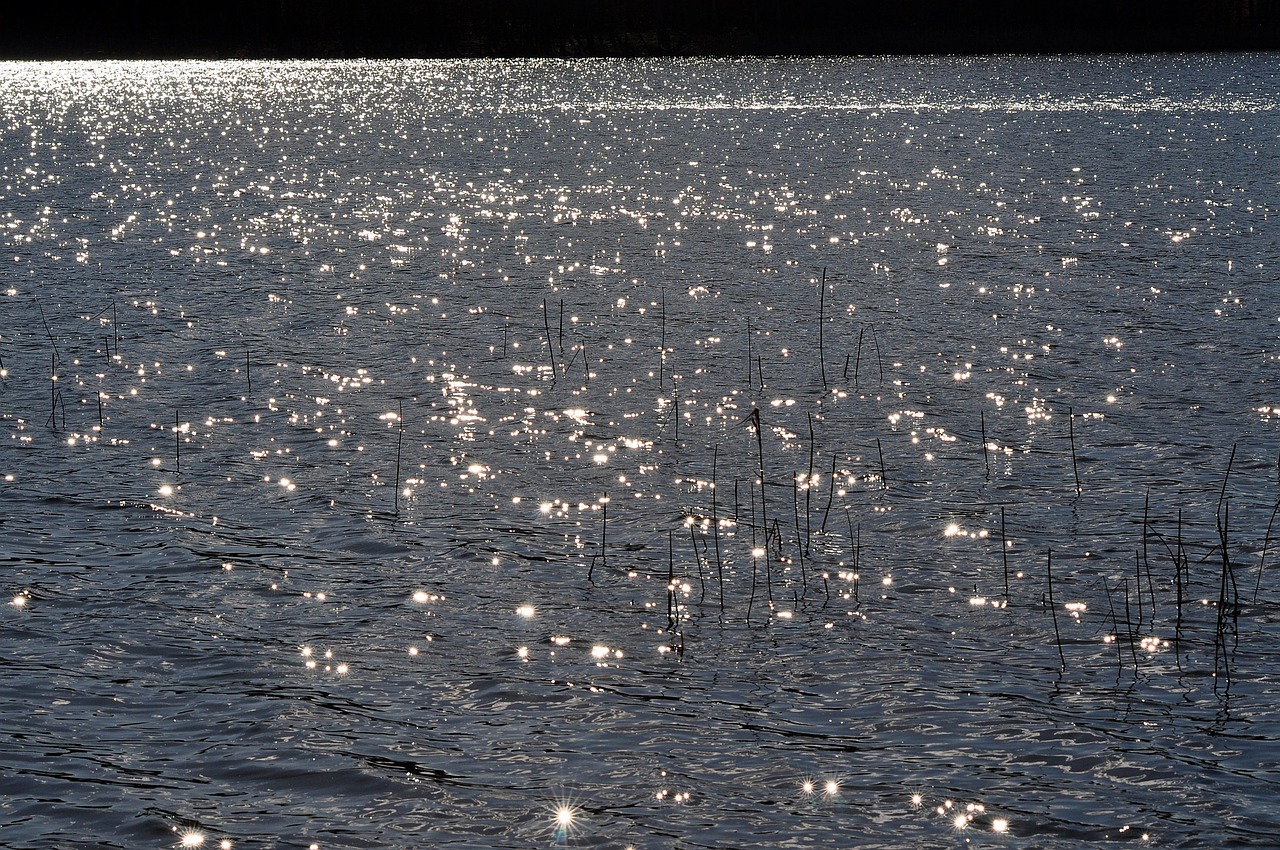 Lake Waves Wind - Free photo on Pixabay - Pixabay