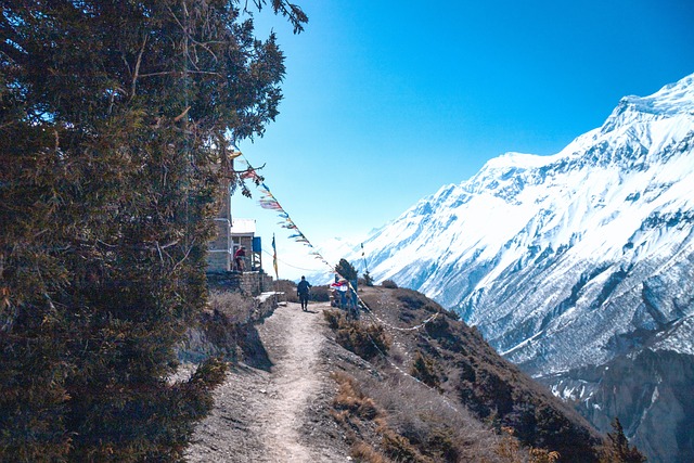 Nepal Clima Congeladas Nascer Do - Foto gratuita no Pixabay - Pixabay