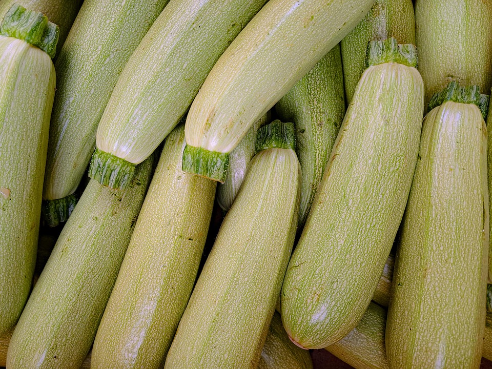 Zucchini Vegetables Food - Free photo on Pixabay