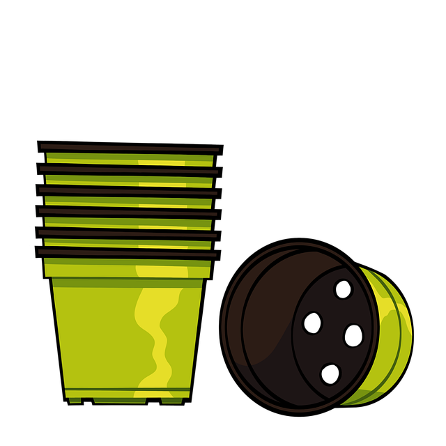 30,000+ Free Spring Clipart & Clipart Images - Pixabay