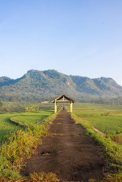 9+ Free Desa Pinggan & Alam Images - Pixabay