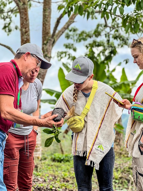 People Trees Planting Earth - Free photo on Pixabay - Pixabay