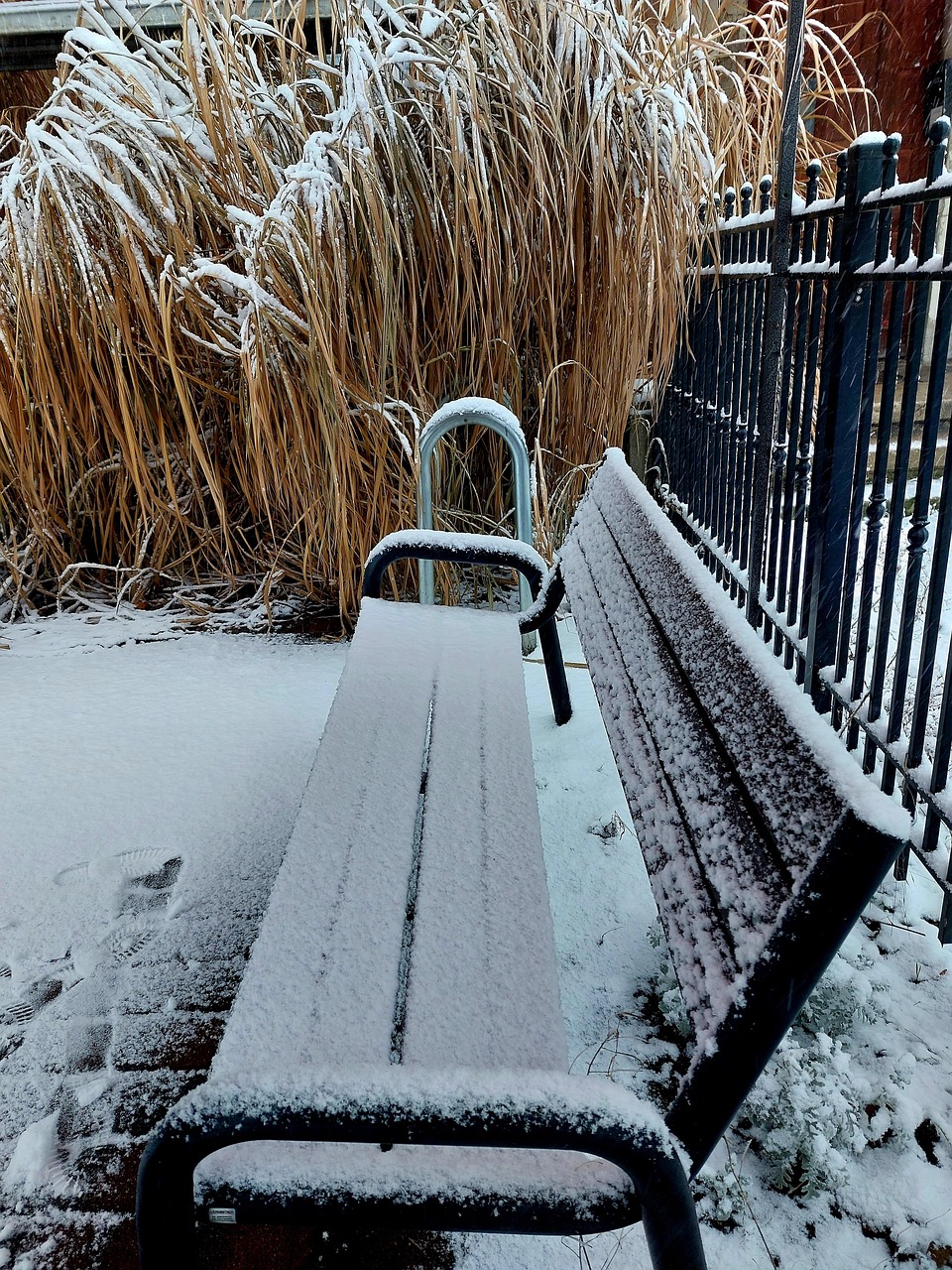 Winter Bench - Free photo on Pixabay - Pixabay