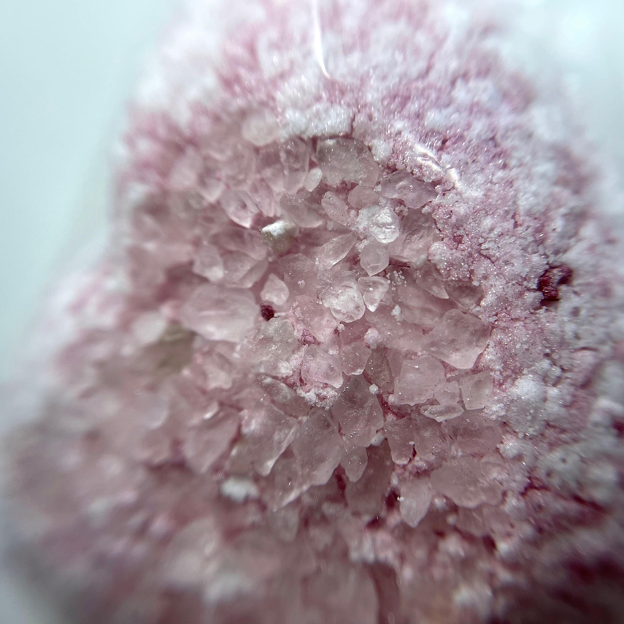 Pink Macro Spa - Free photo on Pixabay - Pixabay