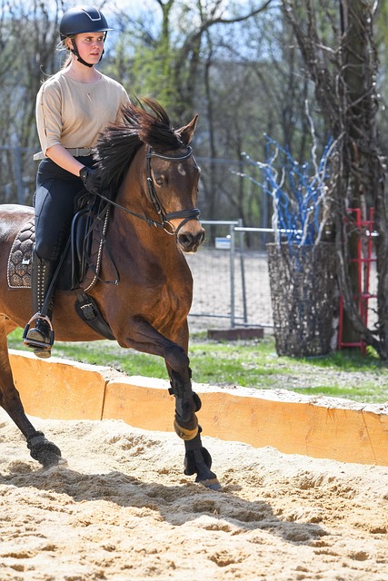 Reiten Galopp Pferd - Kostenloses Foto auf Pixabay - Pixabay