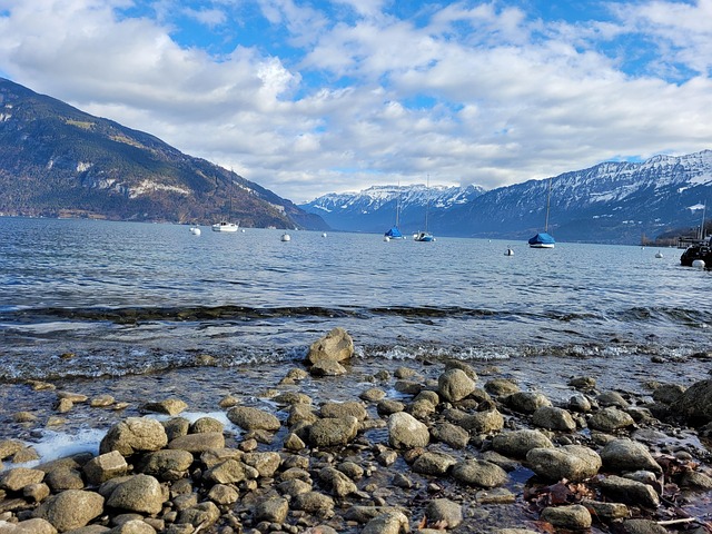 Lake Nature Thun - Free photo on Pixabay - Pixabay