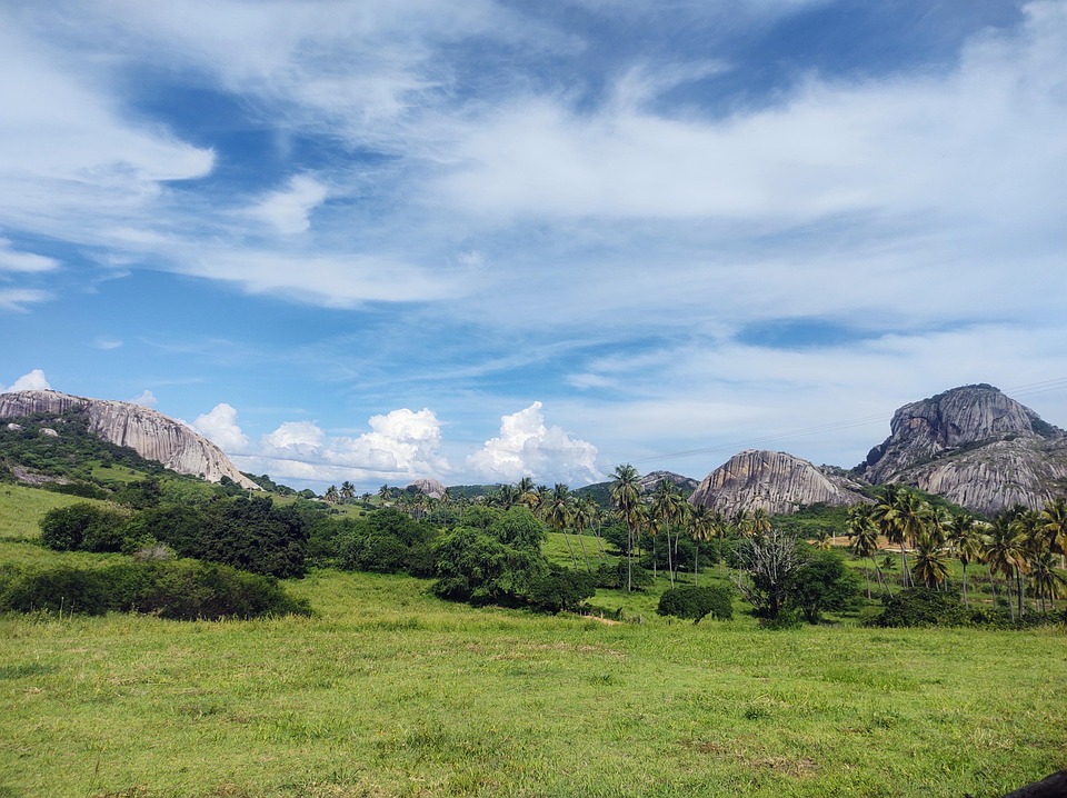 Paisagem Natural Horizonte Verde - Foto gratuita no Pixabay - Pixabay