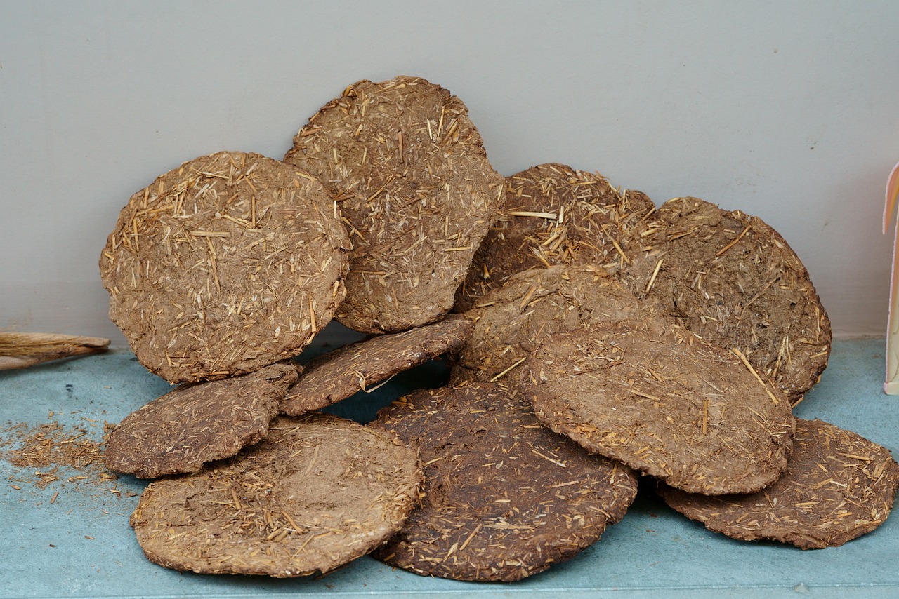 Cow Dung Poop Free Photo On Pixabay Pixabay