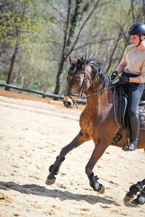 Reiten Reiterin Pferd - Kostenloses Foto auf Pixabay