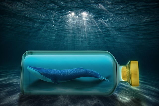 Download Whale In A Bottle, Bottle, Whale. Royalty-Free Stock ...