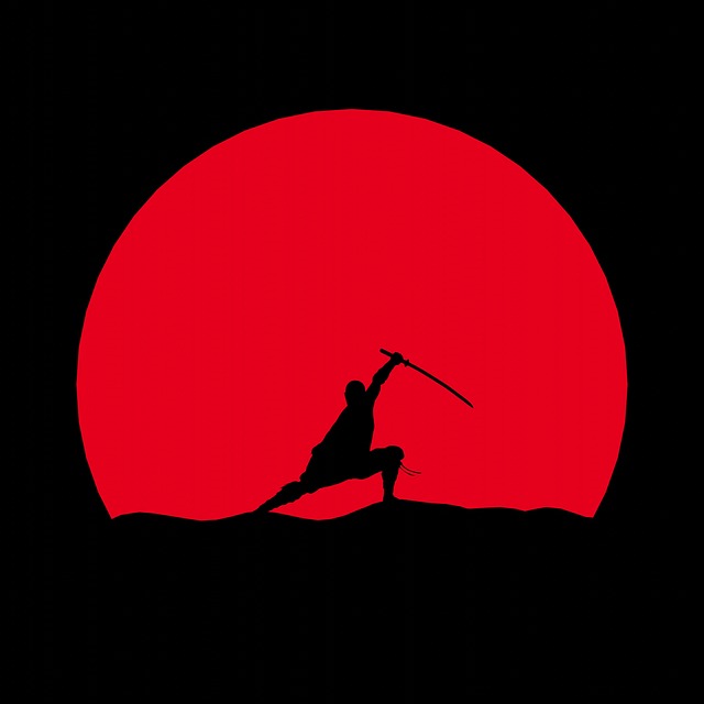 700+ Free Ninja & Warrior Images - Pixabay