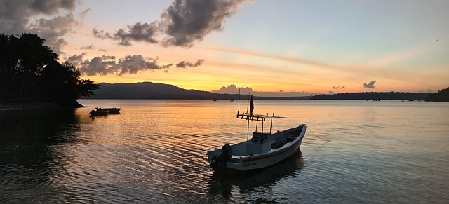 Chidiya Tapu Portblair Coucher De - Photo gratuite sur Pixabay