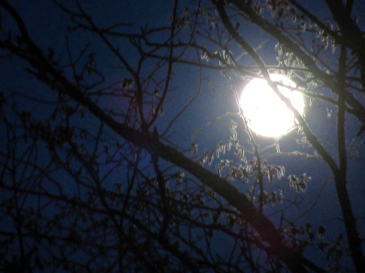 Moon April Night - Free photo on Pixabay