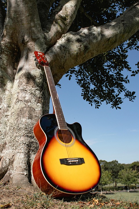 Guitare Ciel Arbre - Photo gratuite sur Pixabay - Pixabay