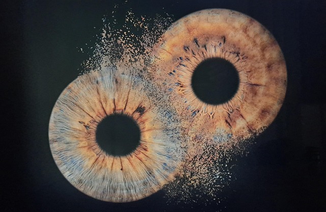 Augen Pupillen Iris - Kostenloses Foto auf Pixabay - Pixabay