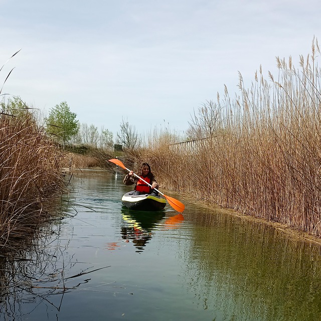 Kayak Canal Navegar - Foto gratis en Pixabay - Pixabay