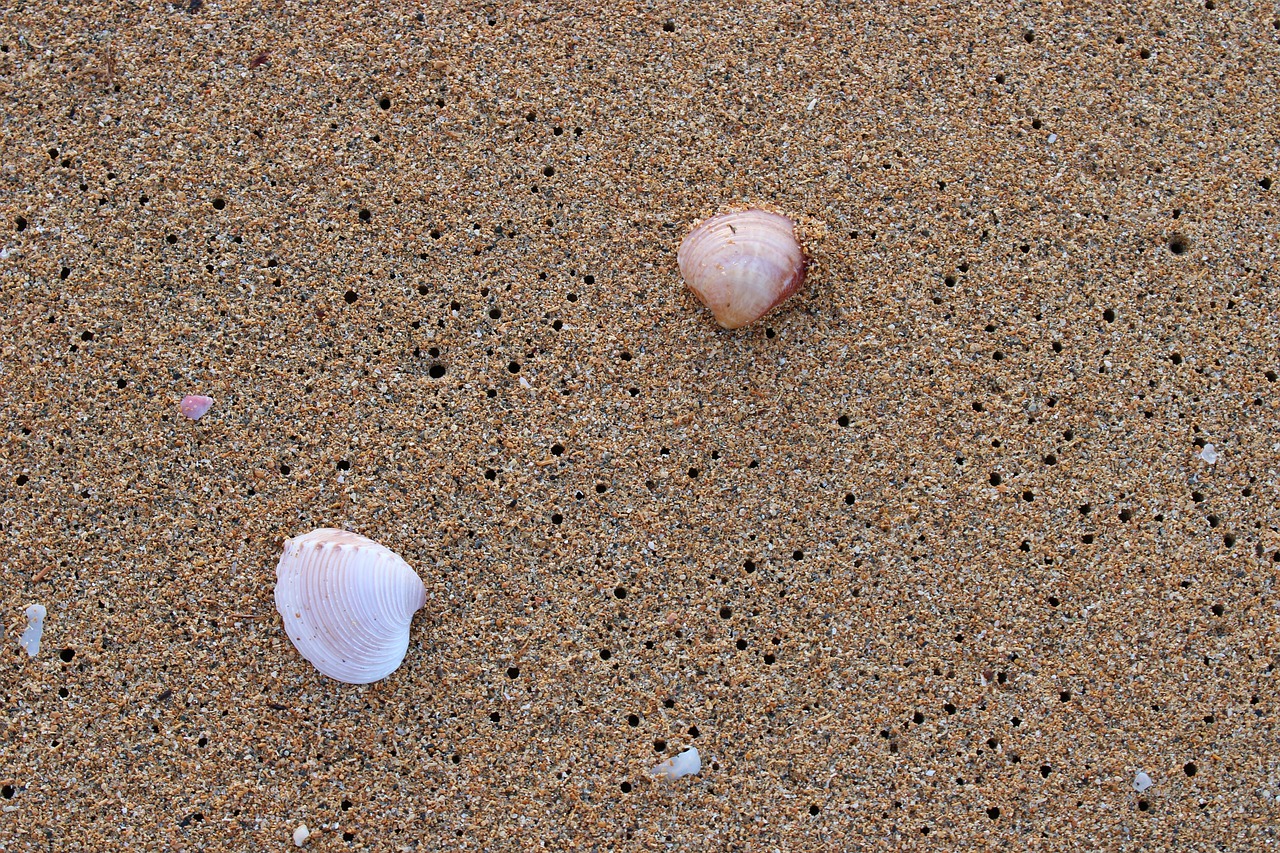 Elegantes Sand Gegen Schnecken Bild