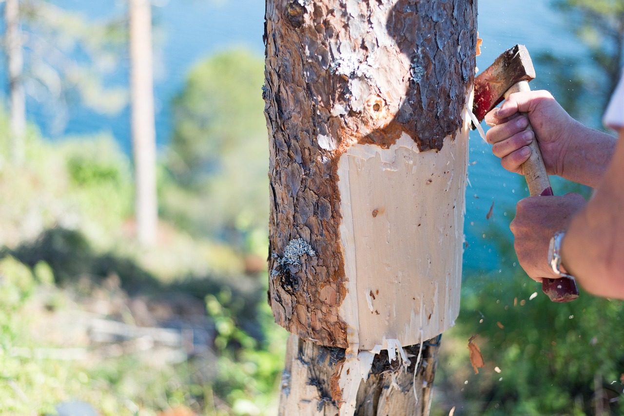 Axe Bark Construction - Free photo on Pixabay - Pixabay