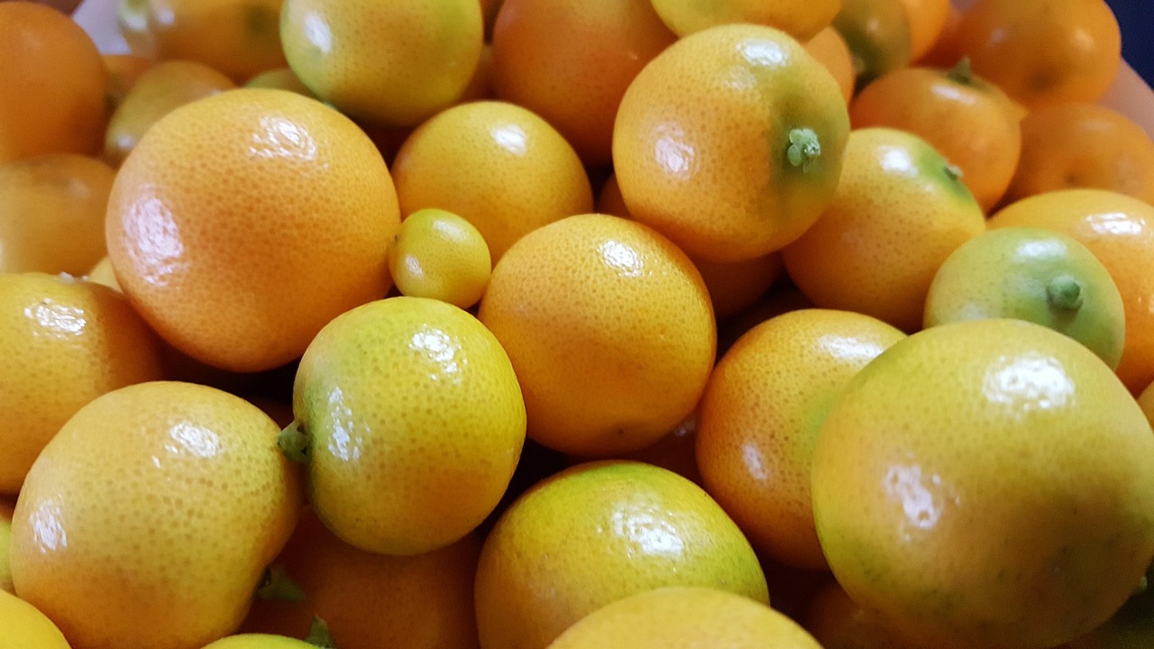 Calamondina Calamansi Frutas - Foto gratis en Pixabay - Pixabay