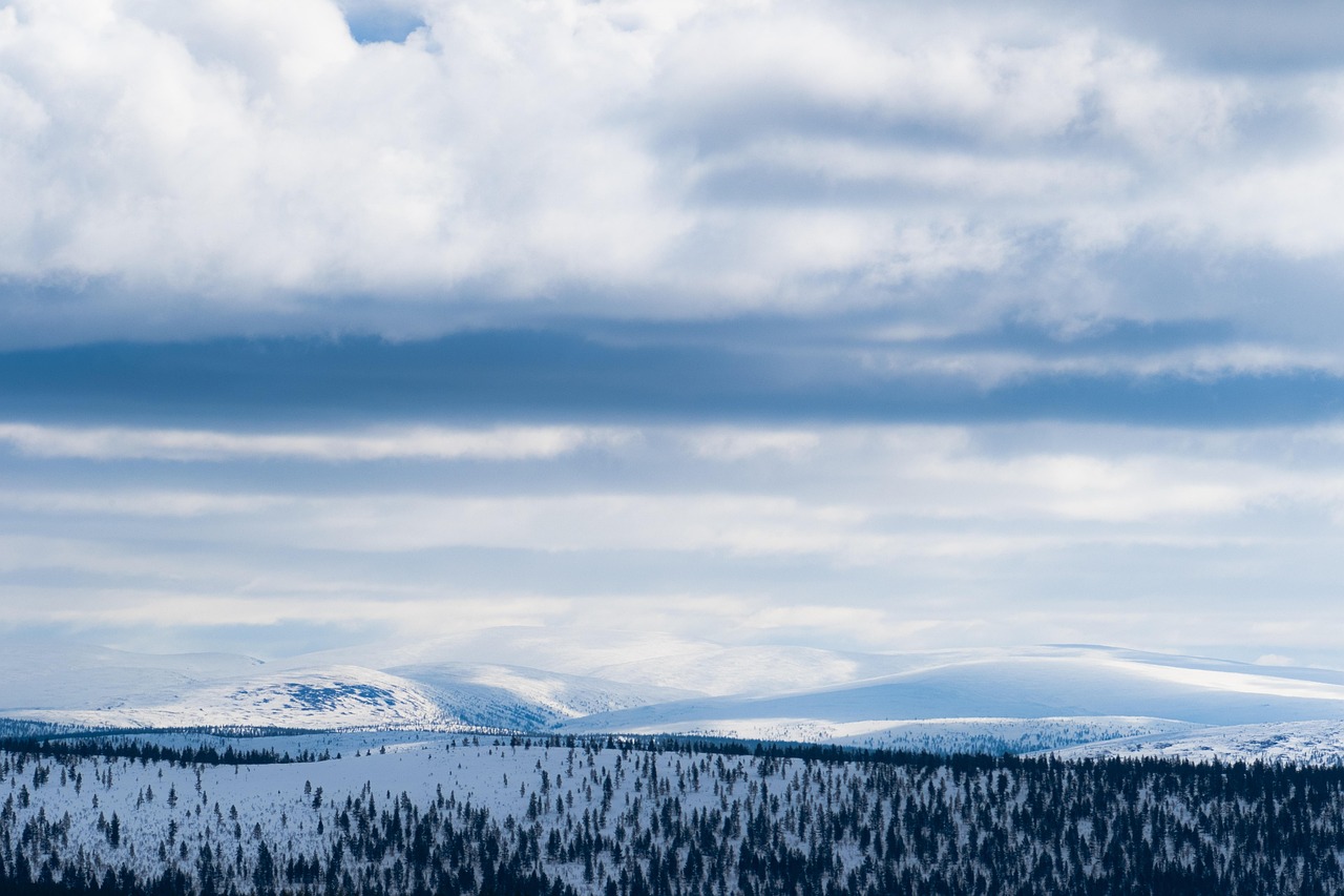 1+ ilmaista Sapmi & Metsä kuvaa - Pixabay