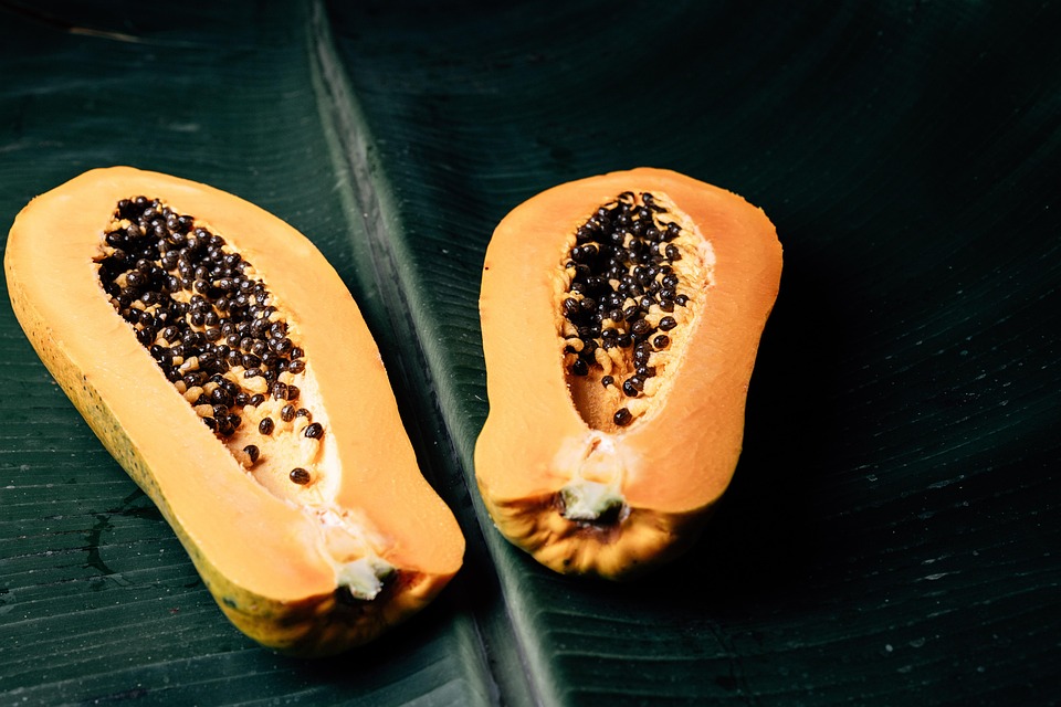 Papaya Tropical Fruta - Foto gratis en Pixabay - Pixabay