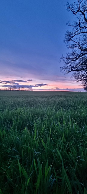 Trava Природа Grass - Free photo on Pixabay