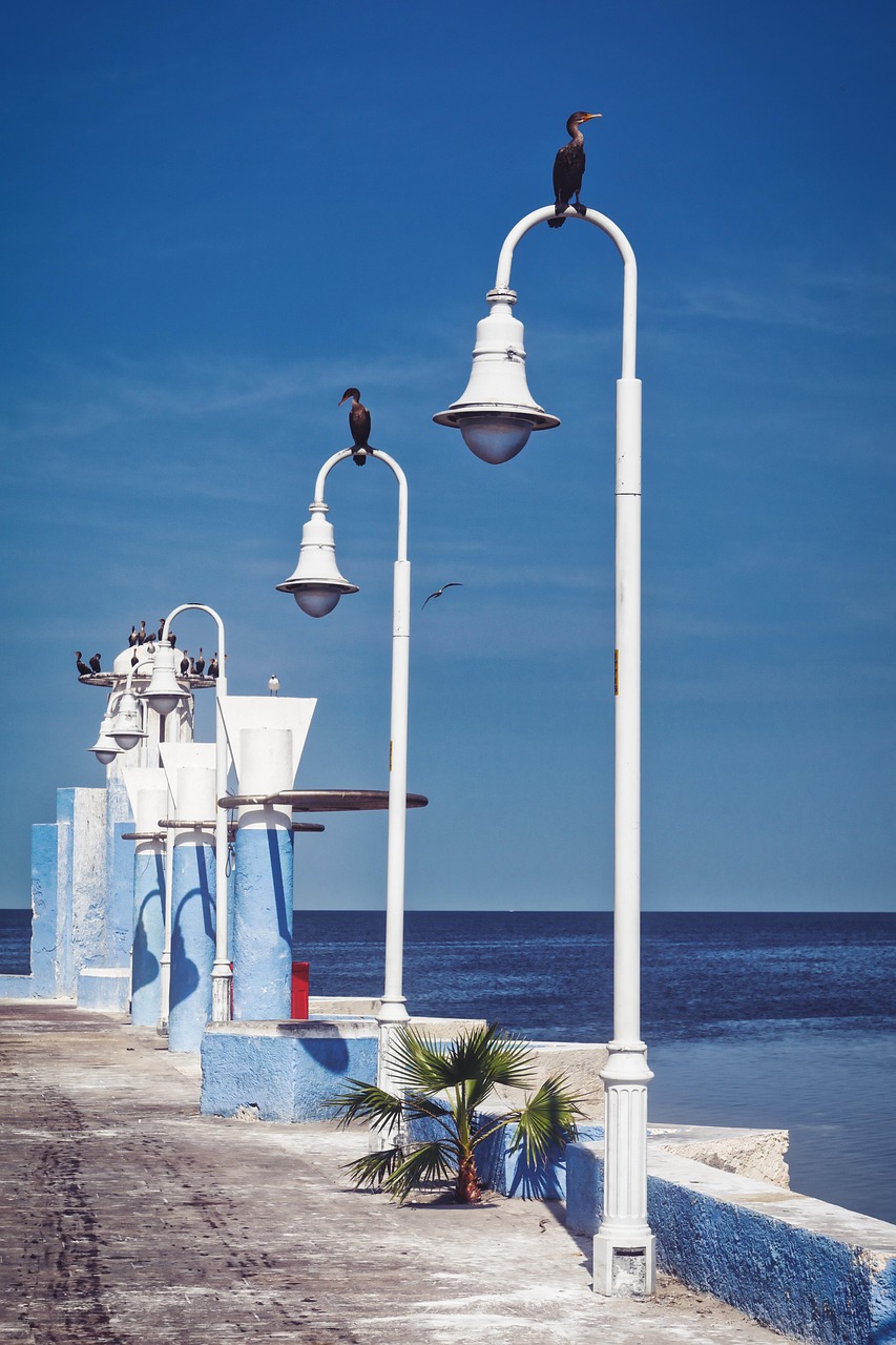 Mexique Campeche Yucatan - Photo gratuite sur Pixabay - Pixabay