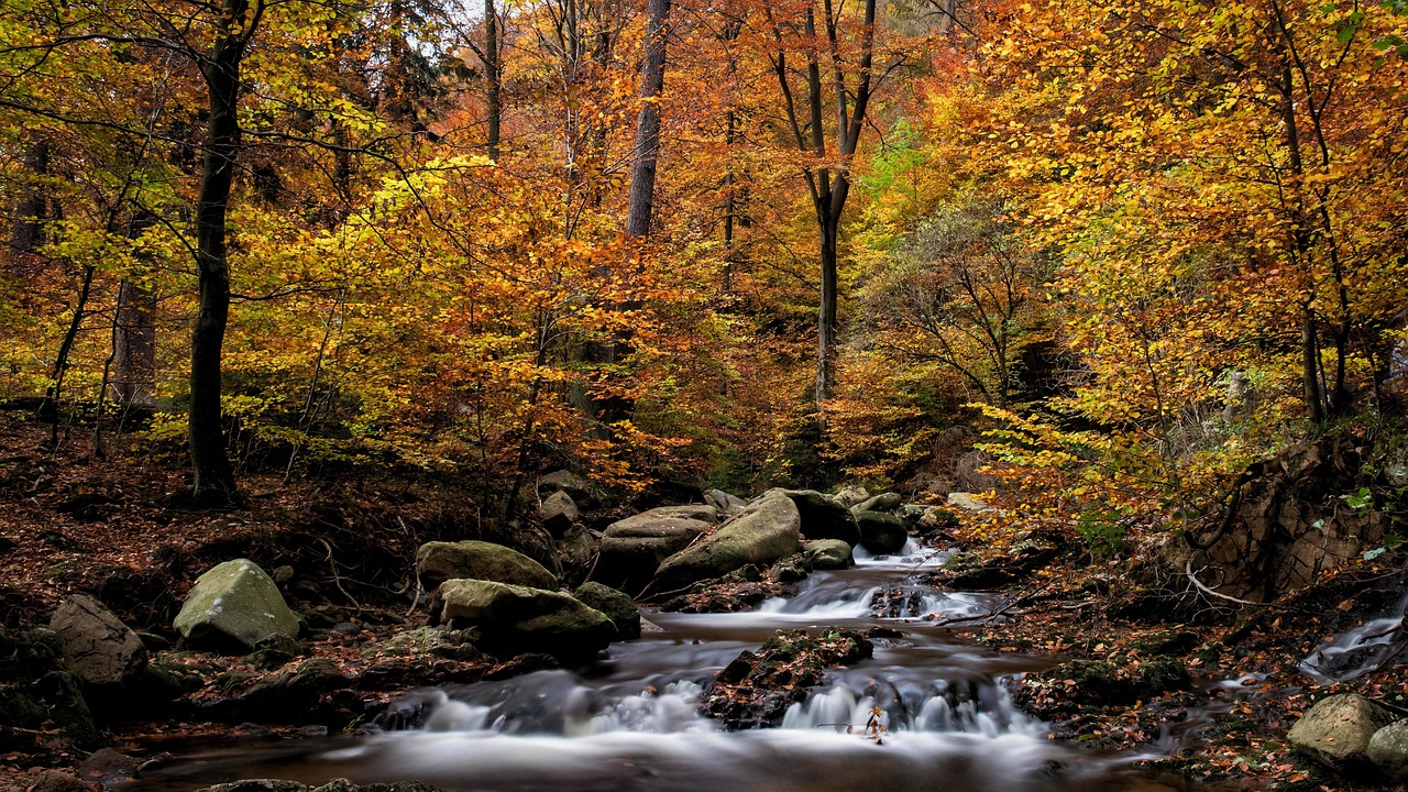 100,000+ Free Gemütlicher Herbst & Autumn Images - Pixabay