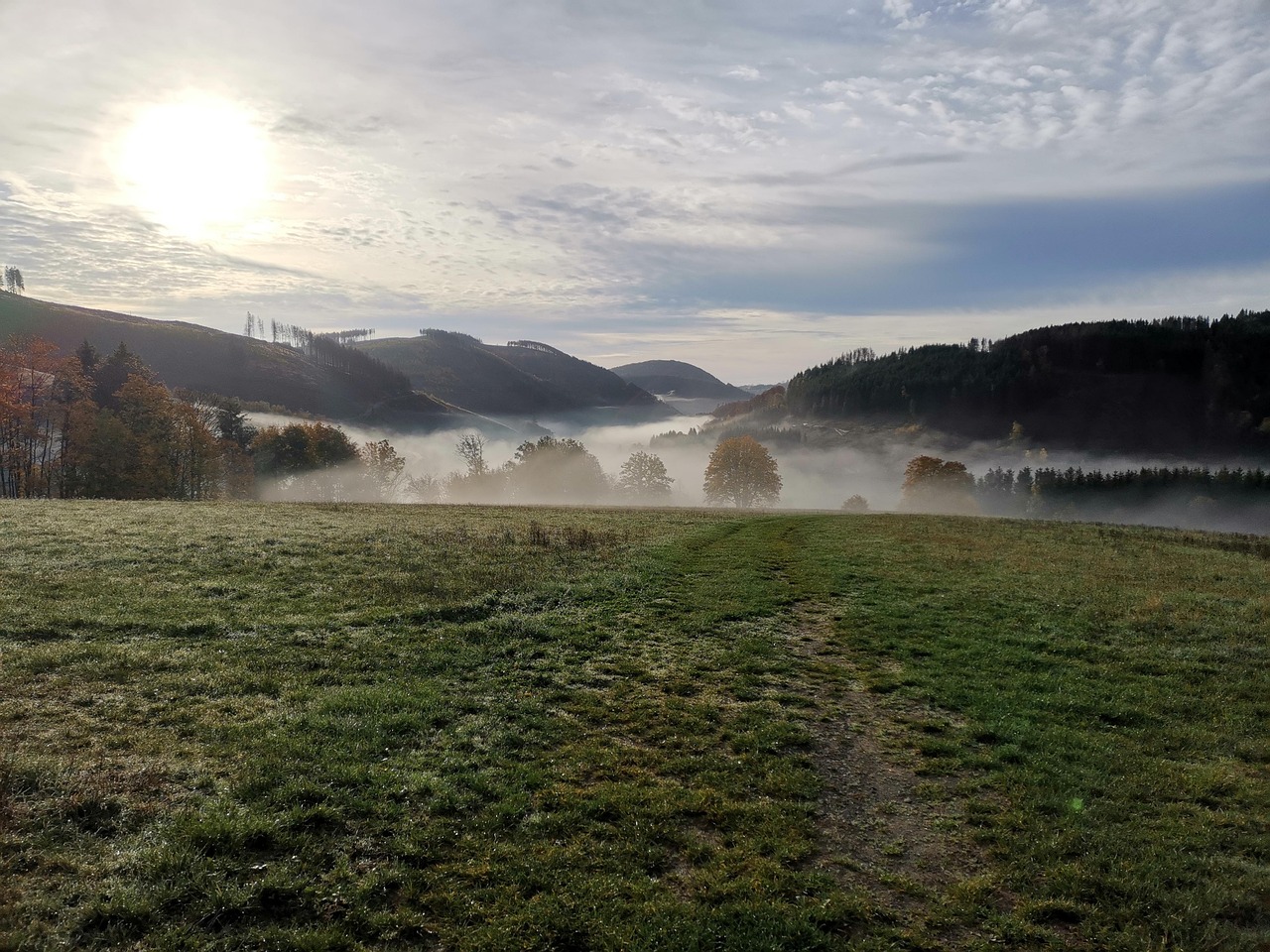 Nebel Natur Landschaft - Kostenloses Foto auf Pixabay - Pixabay