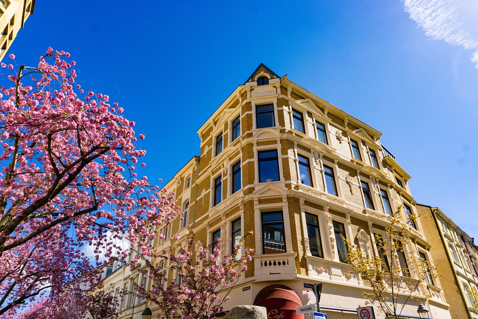 Cherry Blossom Bonn Spring - Free photo on Pixabay
