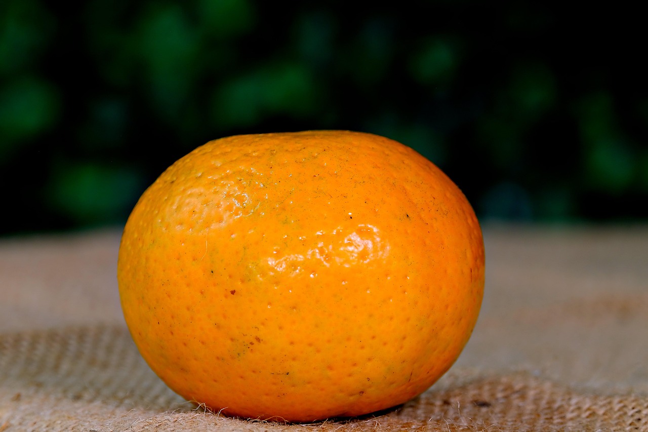 Naranja Fruta Nuevo - Foto gratis en Pixabay