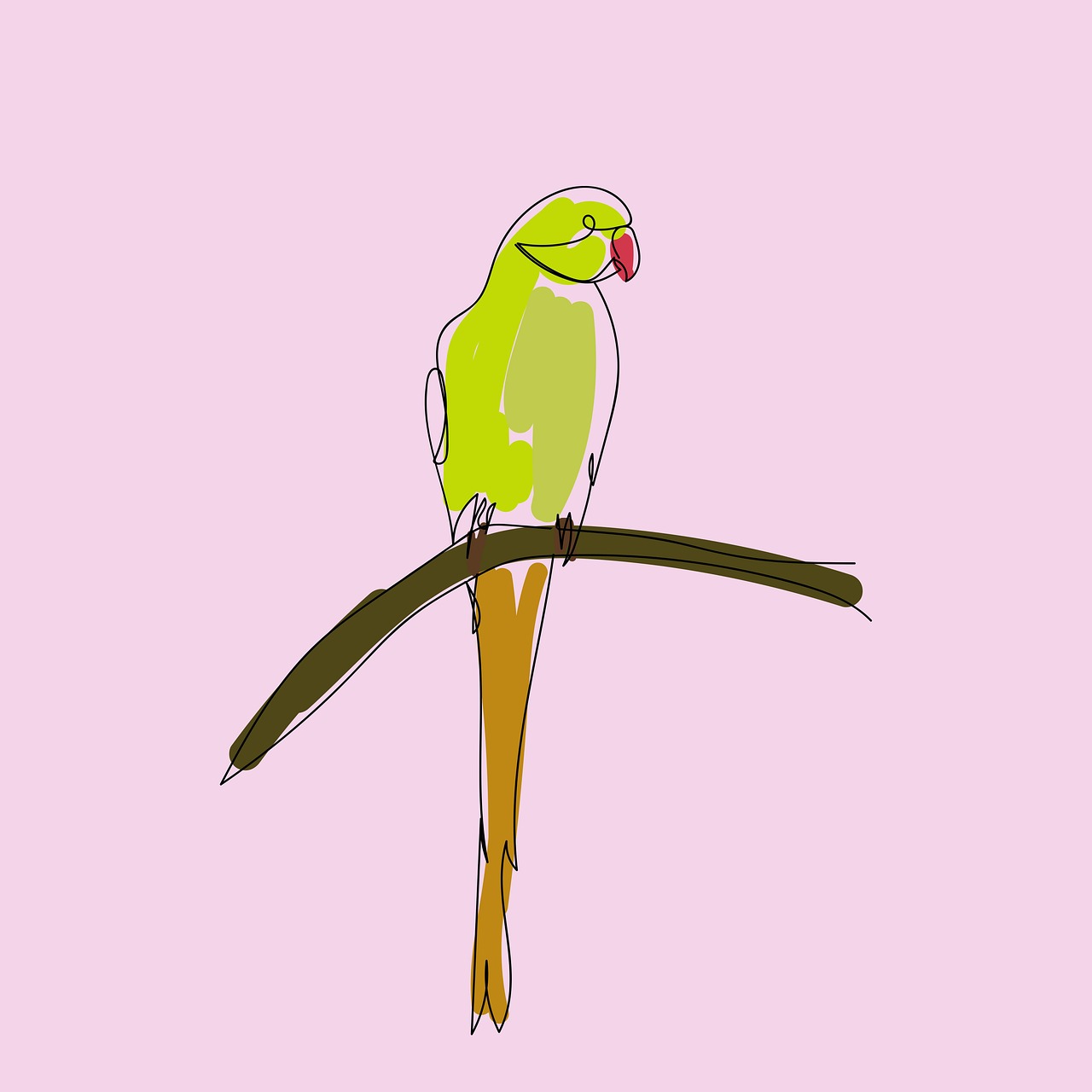 Download Parrot Bird Beak Royalty Free Stock Illustration Image Pixabay